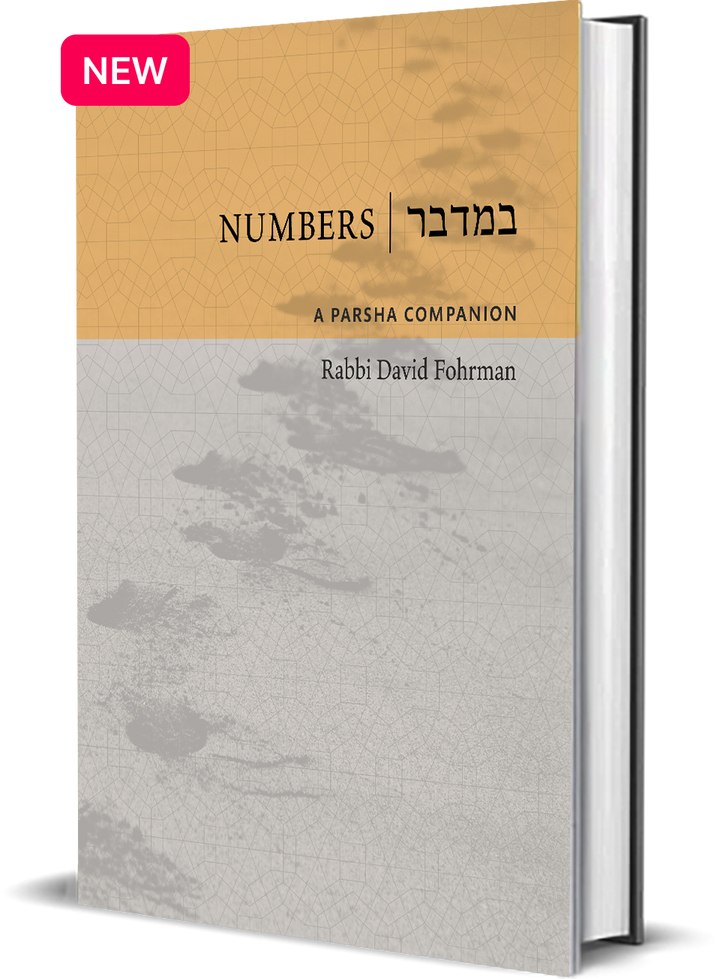 Numbers | A Parsha Companion – Aleph Beta Shop