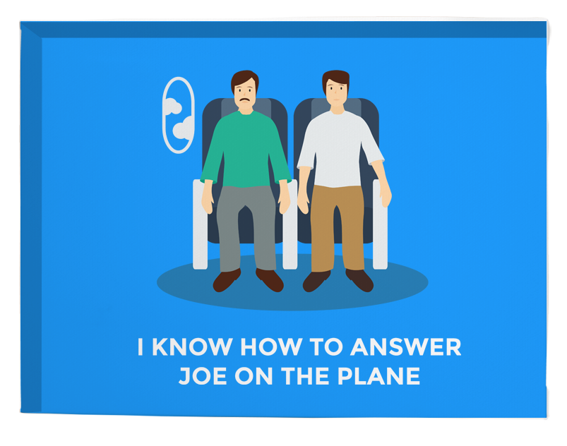 Joe On The Plane - Canvas – Aleph Beta Shop